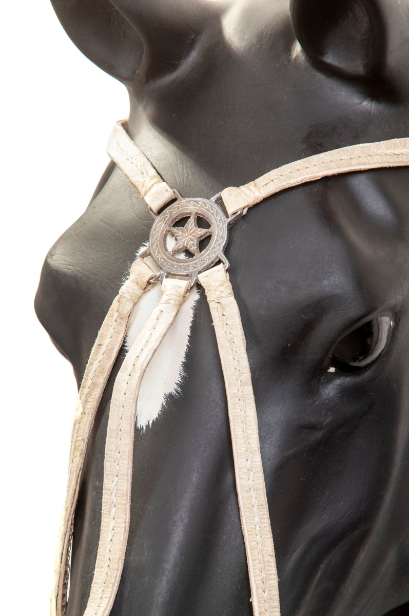 Rawhide Halters with Star
