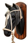 Rawhide Halters with Star