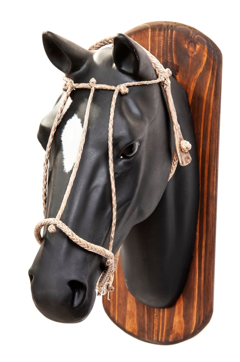 Rawhide Polo Halters | GauchoLife