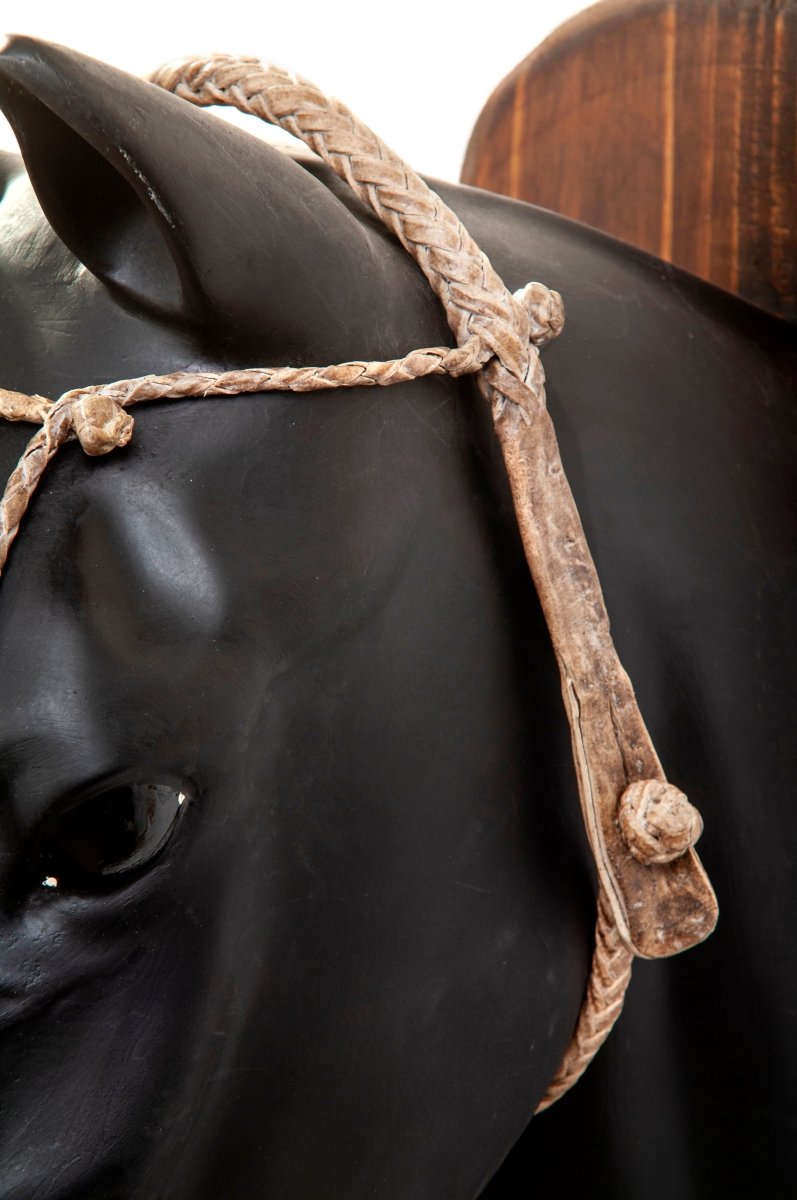 Rawhide Polo Halters | GauchoLife